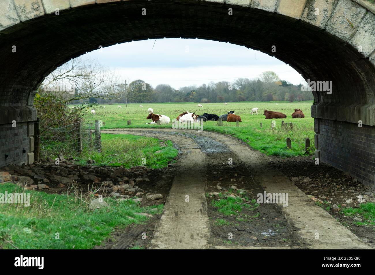 Curved farm track hi-res stock photography and images - Alamy