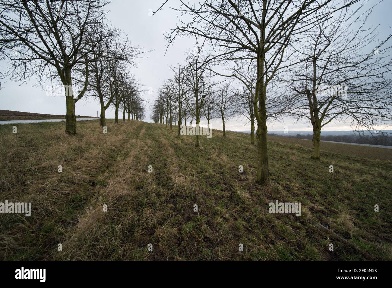 Beautiful landscapes winter nature hi-res stock photography and images ...