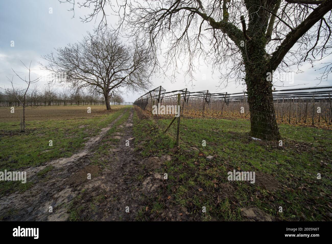 Beautiful landscapes winter nature hi-res stock photography and images ...