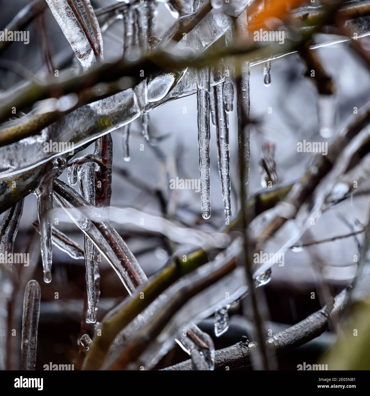 Icicles and stream at Dovestone Reservoir, Oldham, Lancashire Stock ...