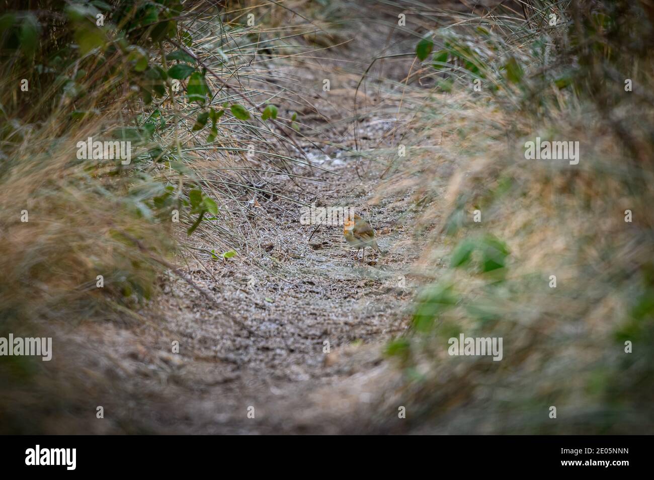 Dovestone Reservoir, Oldham, Lancashire Stock Photo - Alamy
