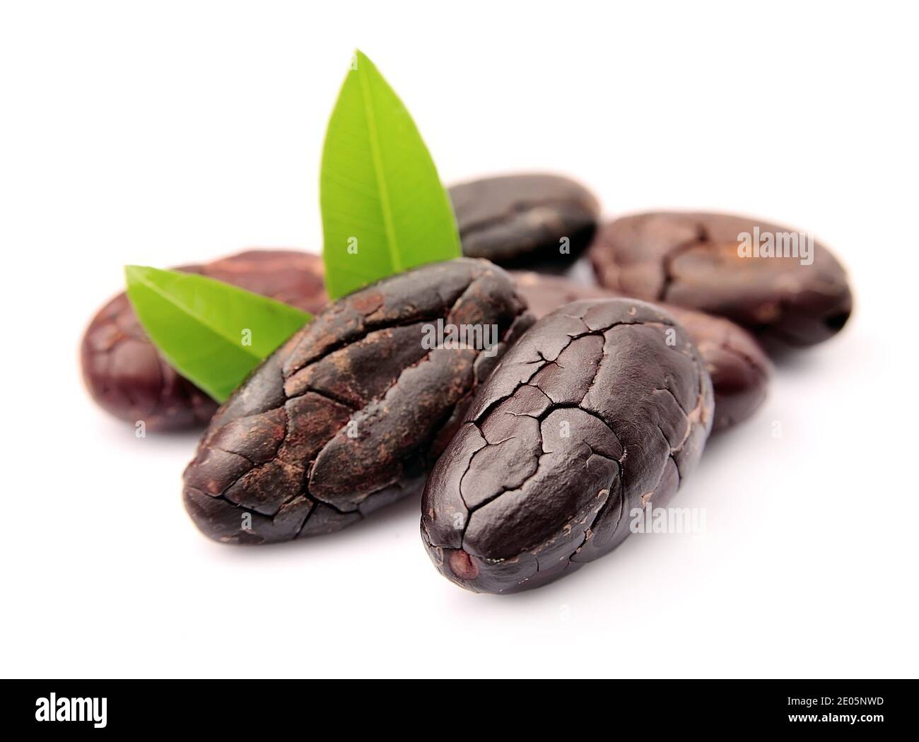 Cocoa beans with leaves close up on white Stock Photo - Alamy