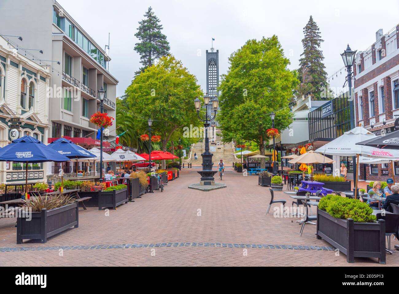 NELSON, NEW ZEALAND, FEBRUARY 4, 2020: Trafalgar street leading to ...