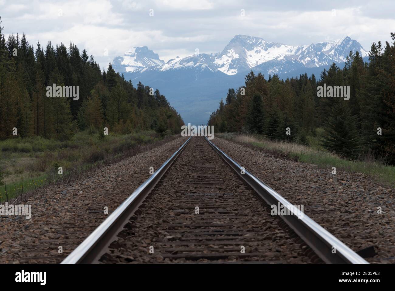 Rocky mountaineer rail hi-res stock photography and images - Alamy
