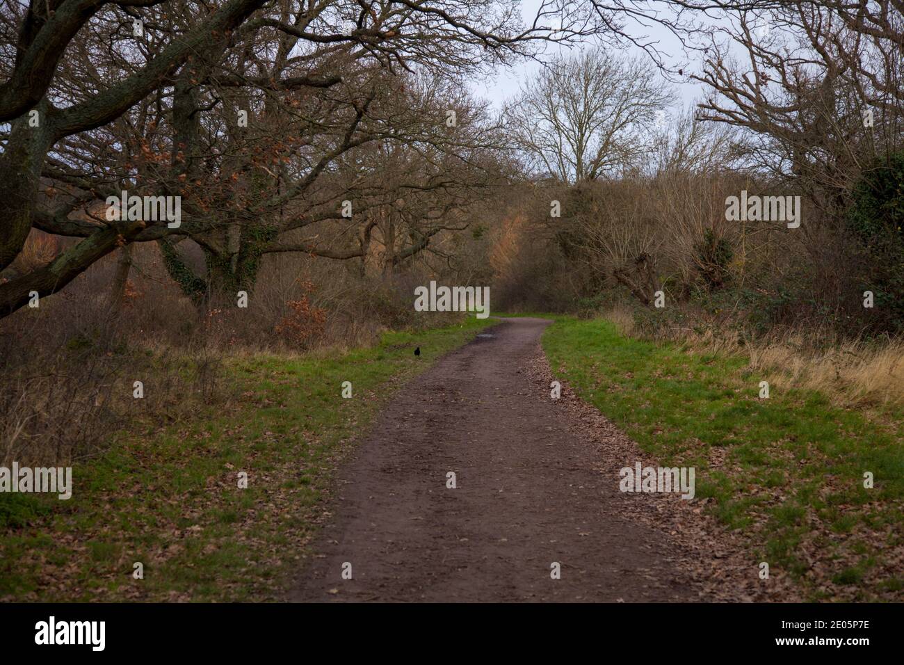Ashtead surrey hi-res stock photography and images - Alamy