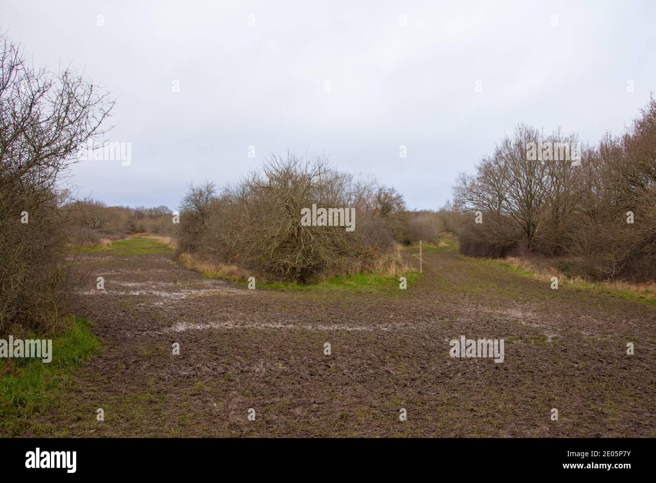 Ashtead Village High Resolution Stock Photography and Images - Alamy