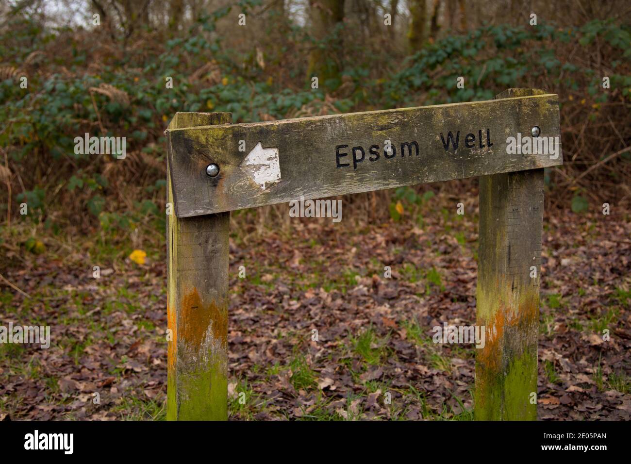 Walking on ashtead common hi-res stock photography and images - Alamy