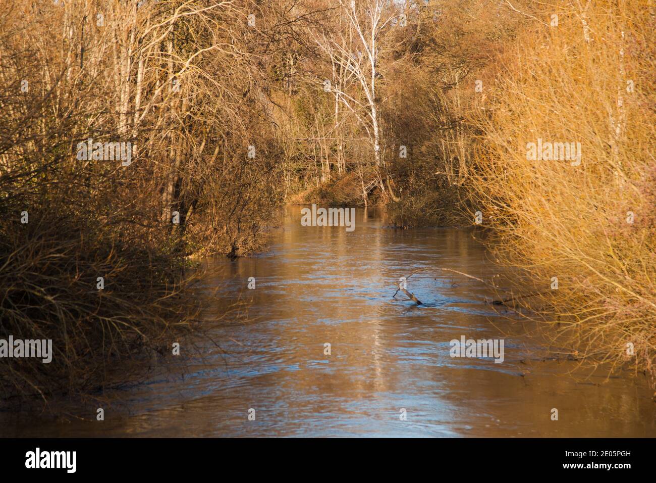 Elmbridge surrey hi-res stock photography and images - Alamy