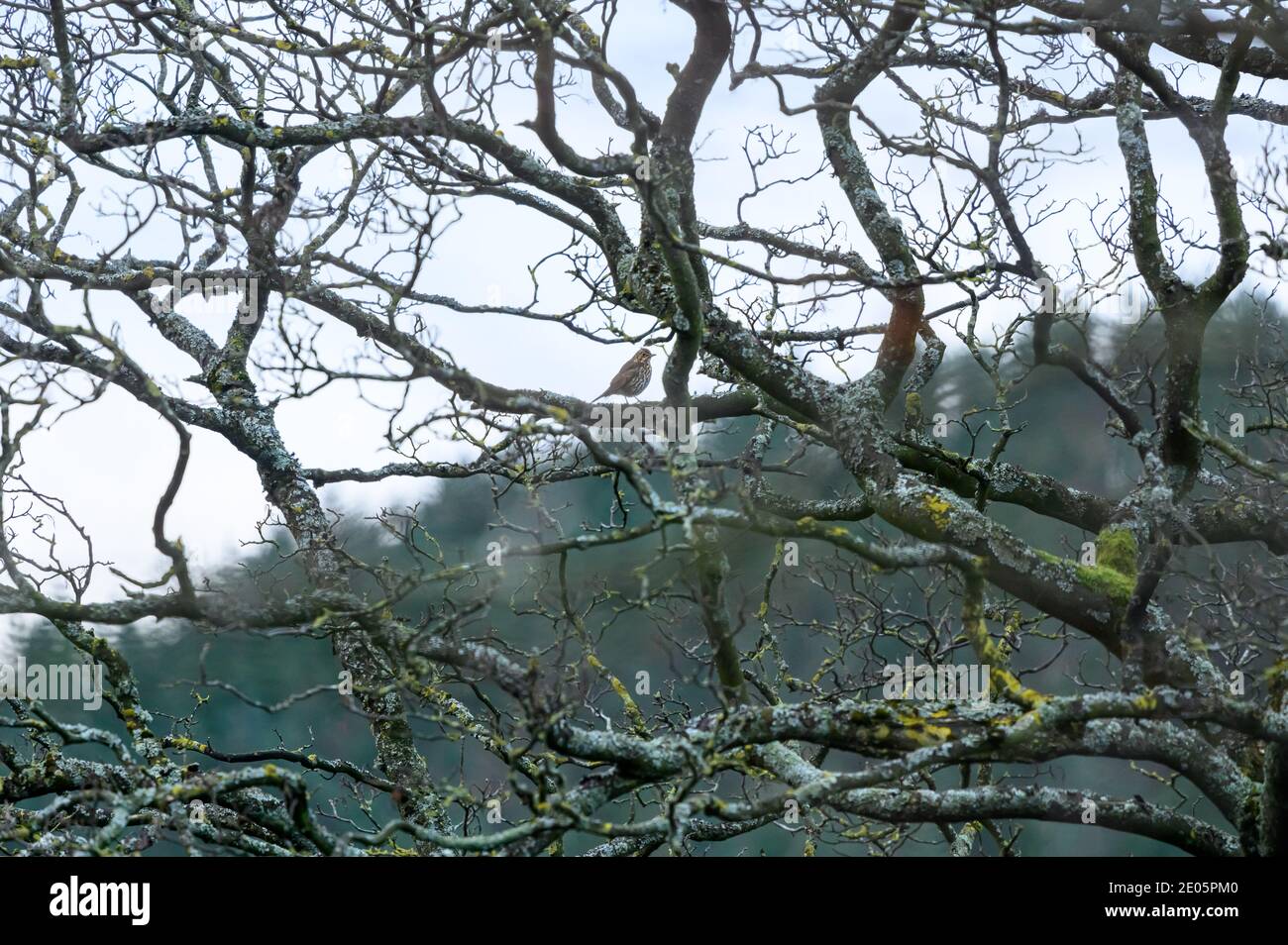 Dovestone Reservoir, Oldham, Lancashire Stock Photo - Alamy