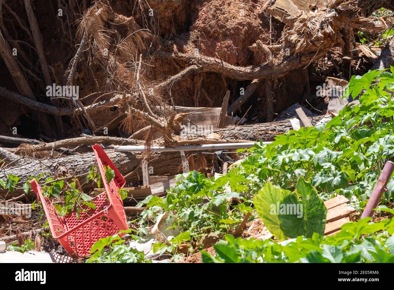 Disposal of irregular waste in nature. Environmental disaster ...