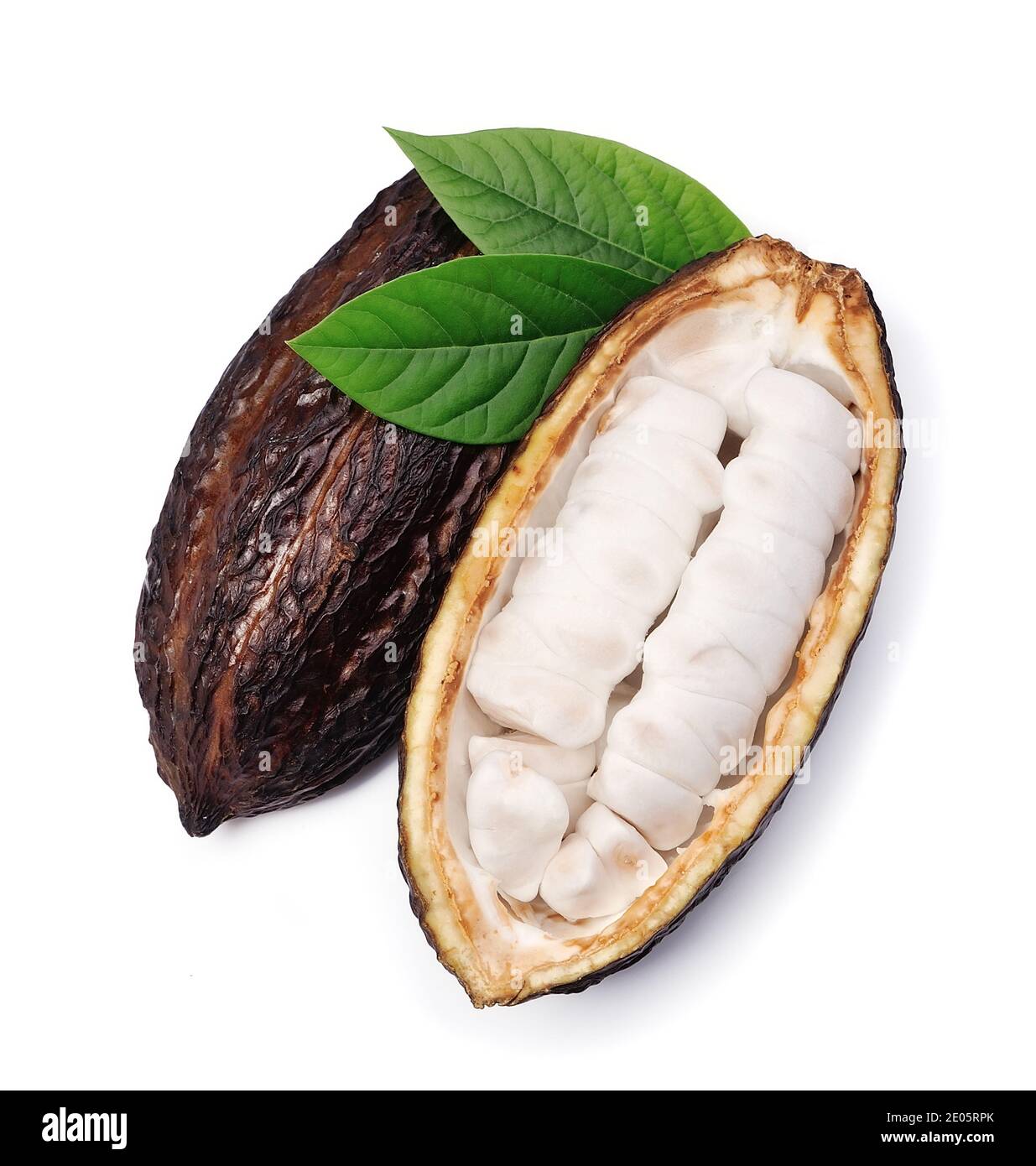 Cacao pod with leaves closeup on white backgrounds Stock Photo - Alamy