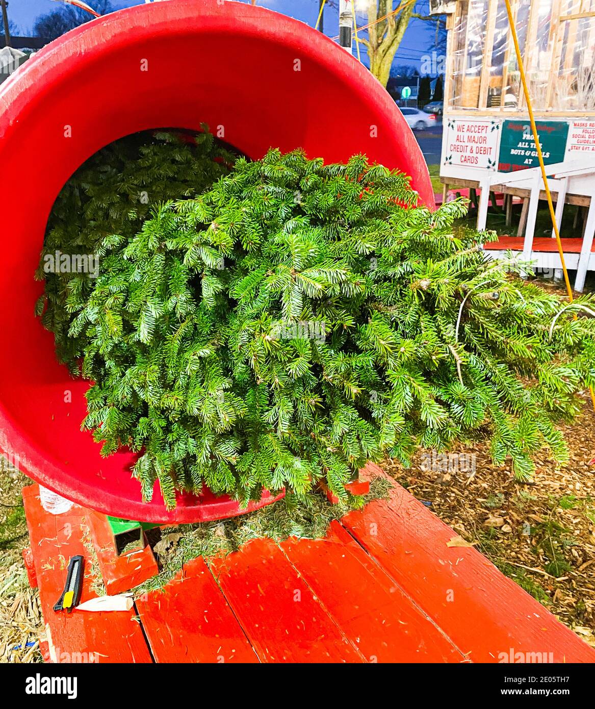 A Christmas tree that was just sold in being put through a netting ...