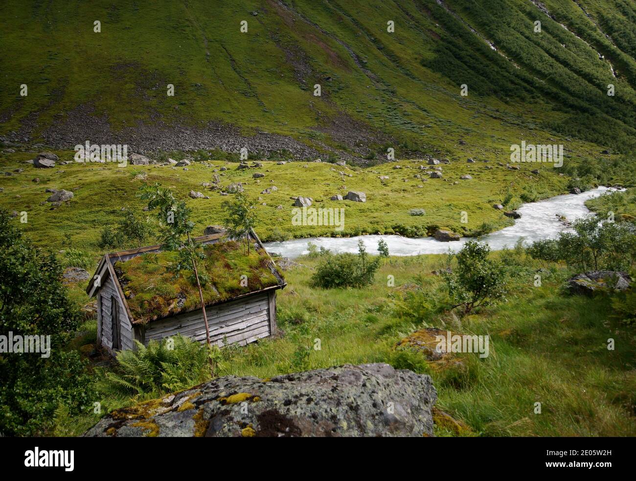 Moss covered house hi-res stock photography and images - Alamy