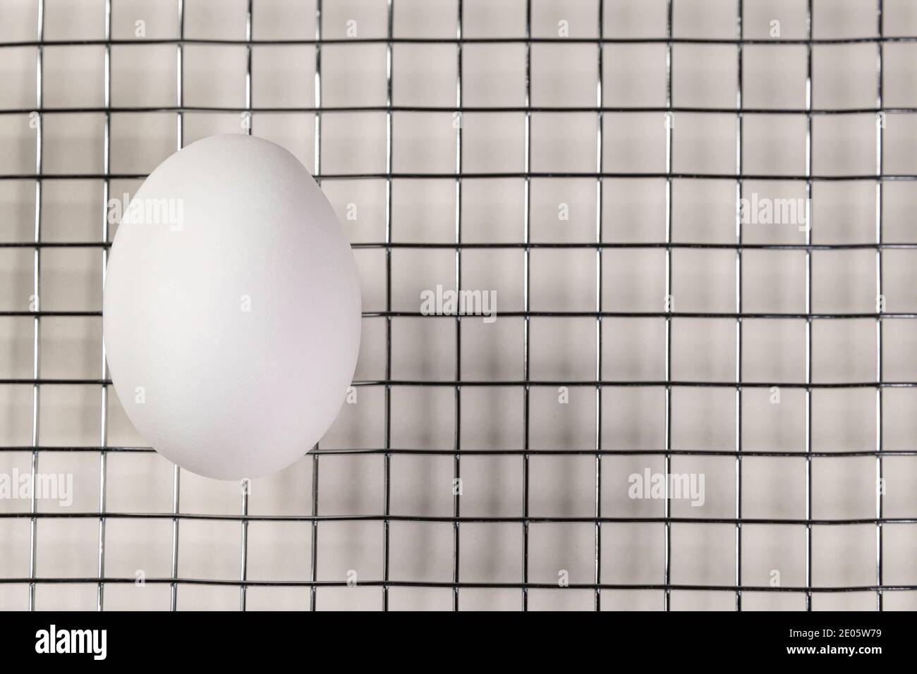 Egg Placed On Grid In The Kitchen Stock Photo - Alamy