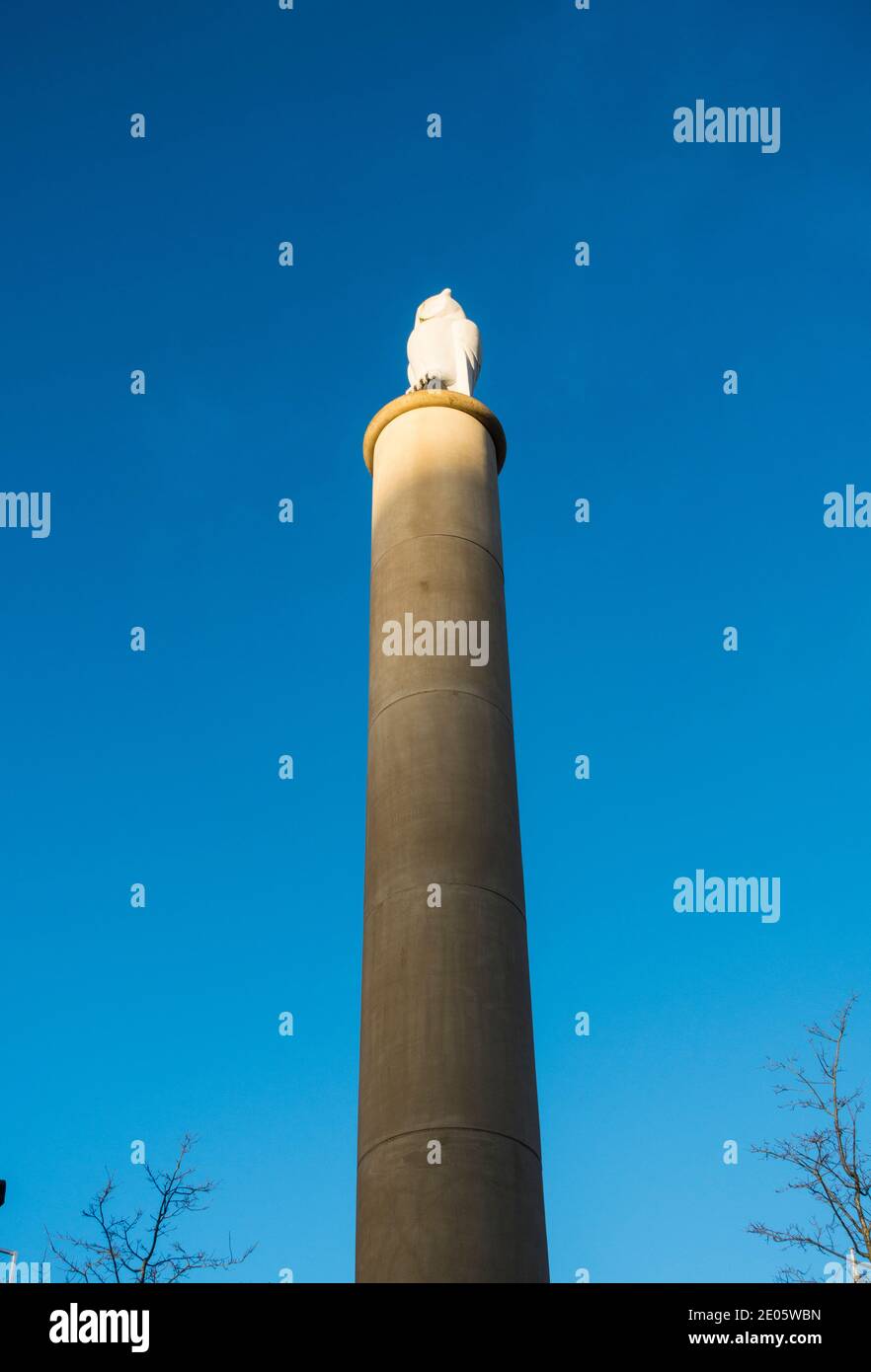 Owl tower hi-res stock photography and images - Alamy