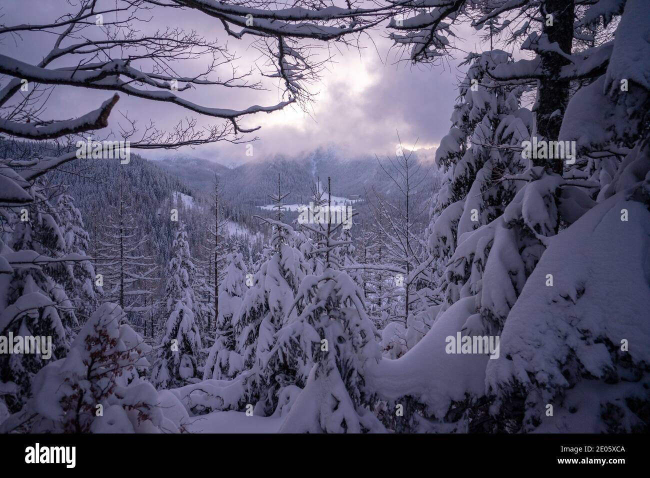 Winter scenery in the Tatra Mountains Stock Photo - Alamy