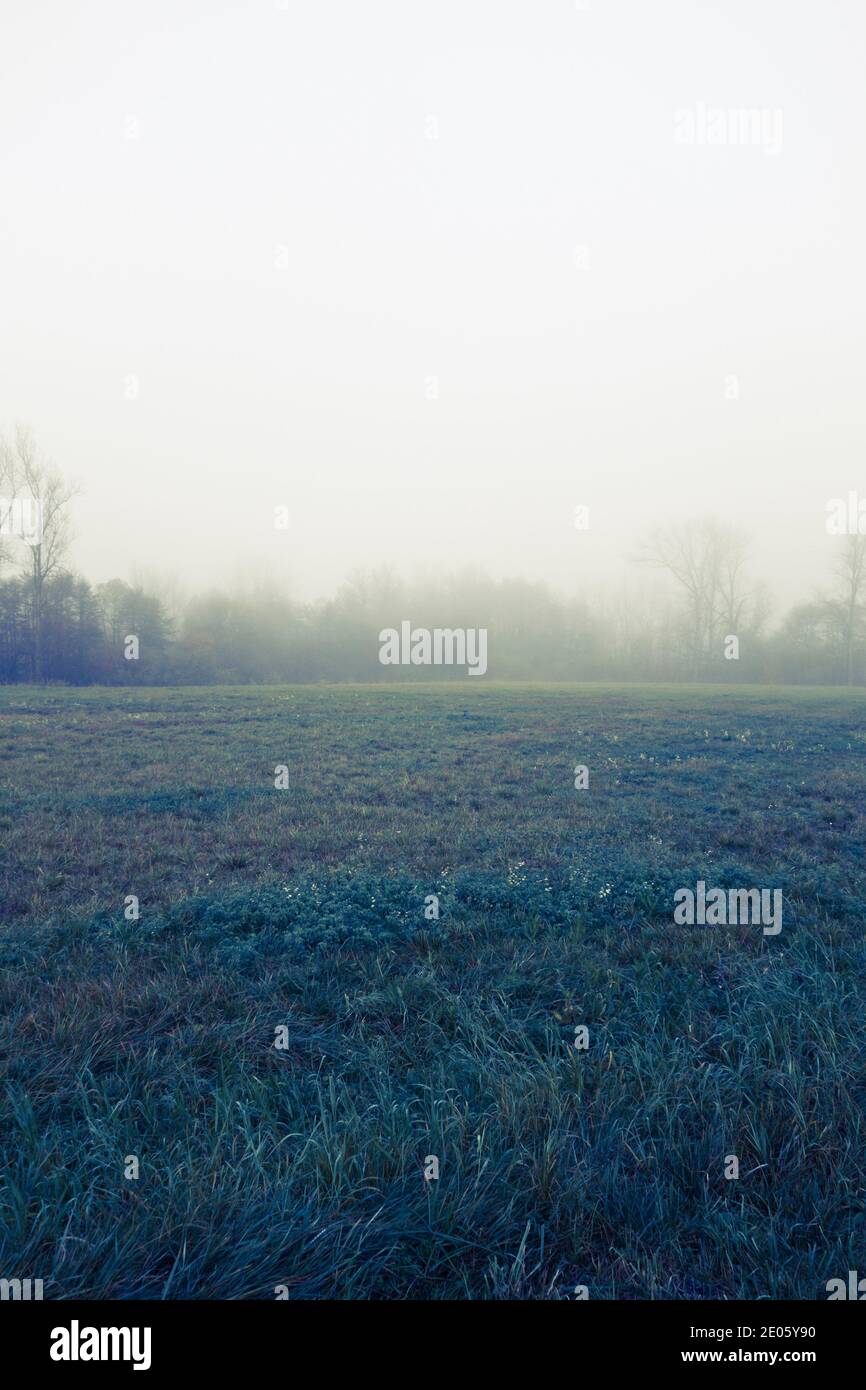 Field in the winter hi-res stock photography and images - Alamy