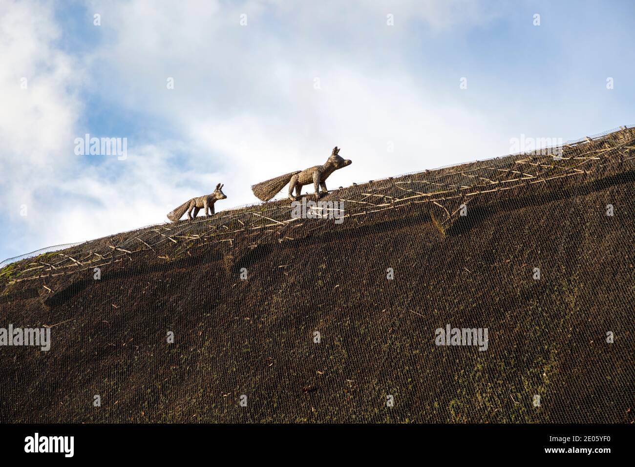 Thatched Roof Animals High Resolution Stock Photography and Images - Alamy