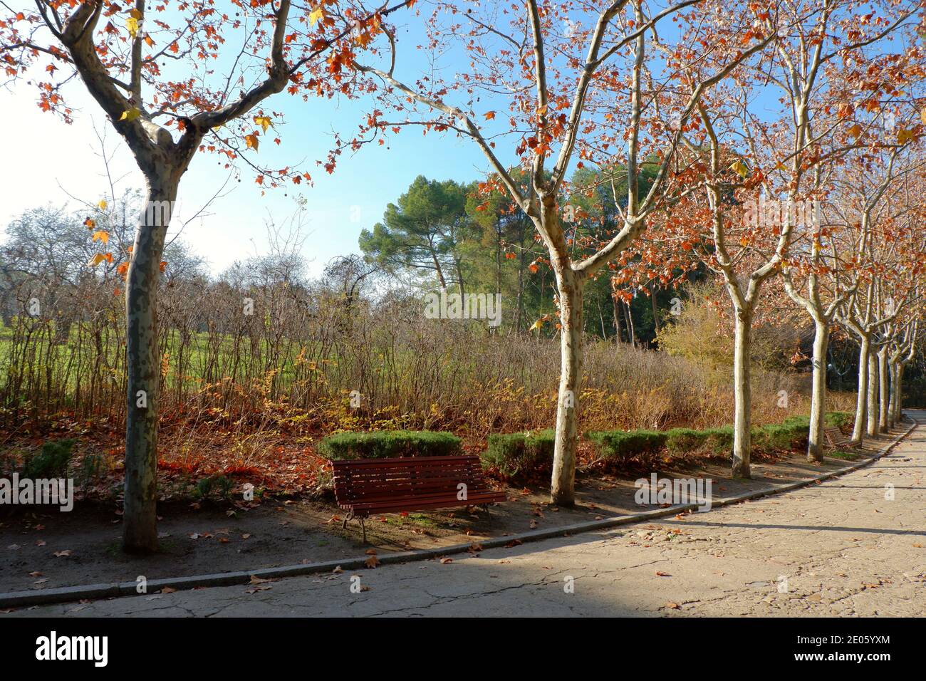Autumn in Madrid Stock Photo - Alamy
