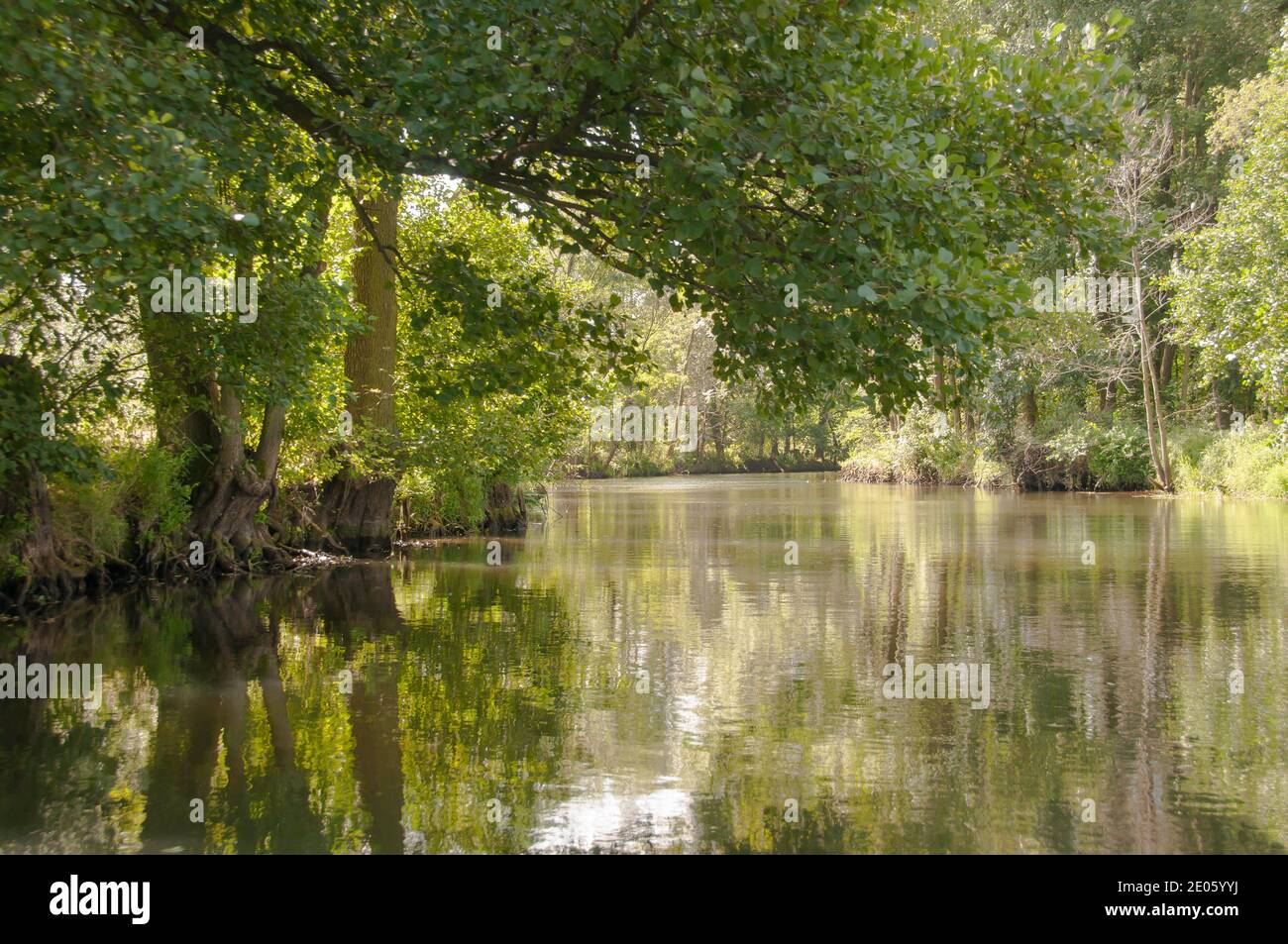 Spreewald biosphere reserve hi-res stock photography and images - Alamy