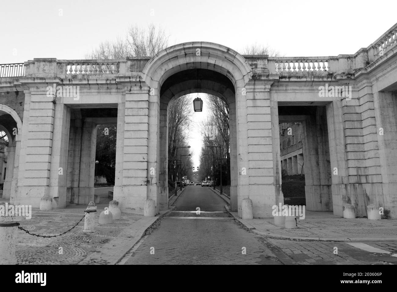 Autumn red yellow green leaves Black and White Stock Photos & Images ...