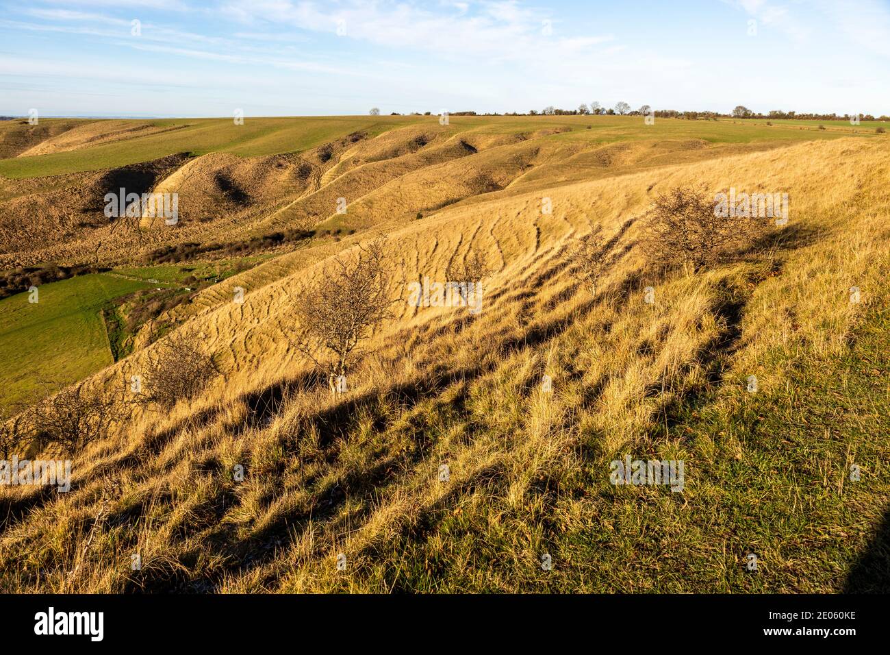 Roundway Wiltshire High Resolution Stock Photography and Images - Alamy