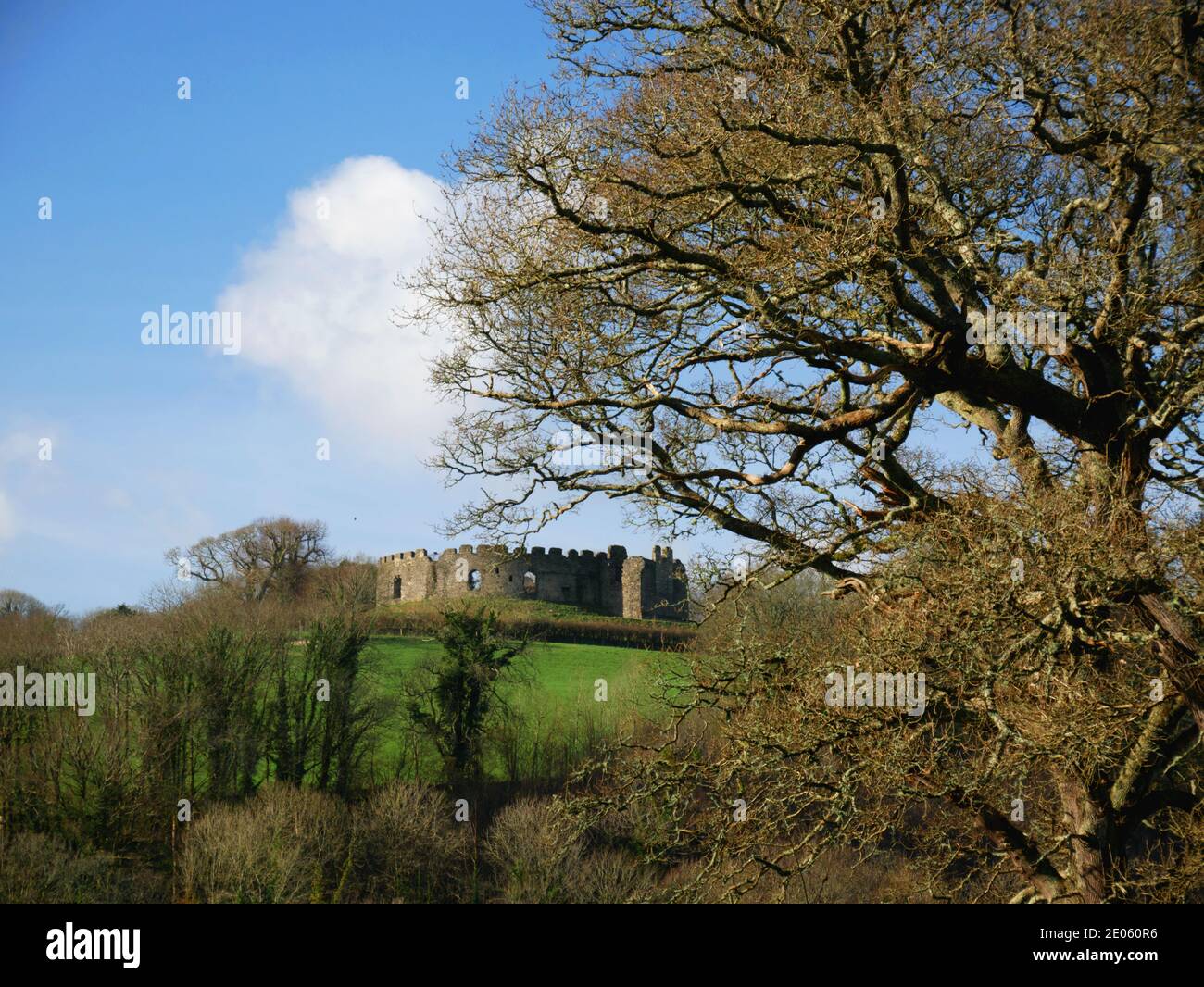 Fowey castle hi-res stock photography and images - Alamy