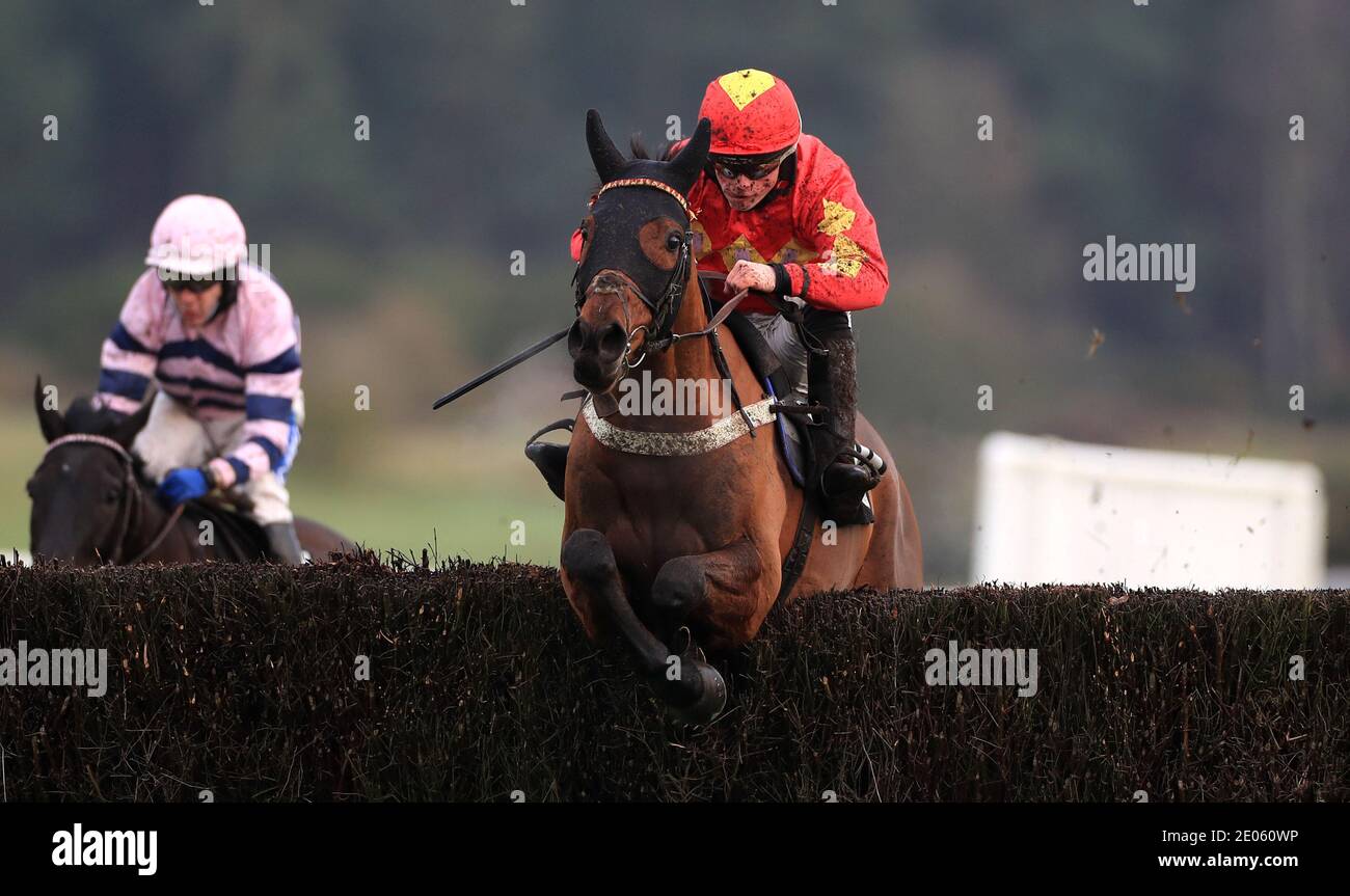 Mac tottie horse hi-res stock photography and images - Alamy