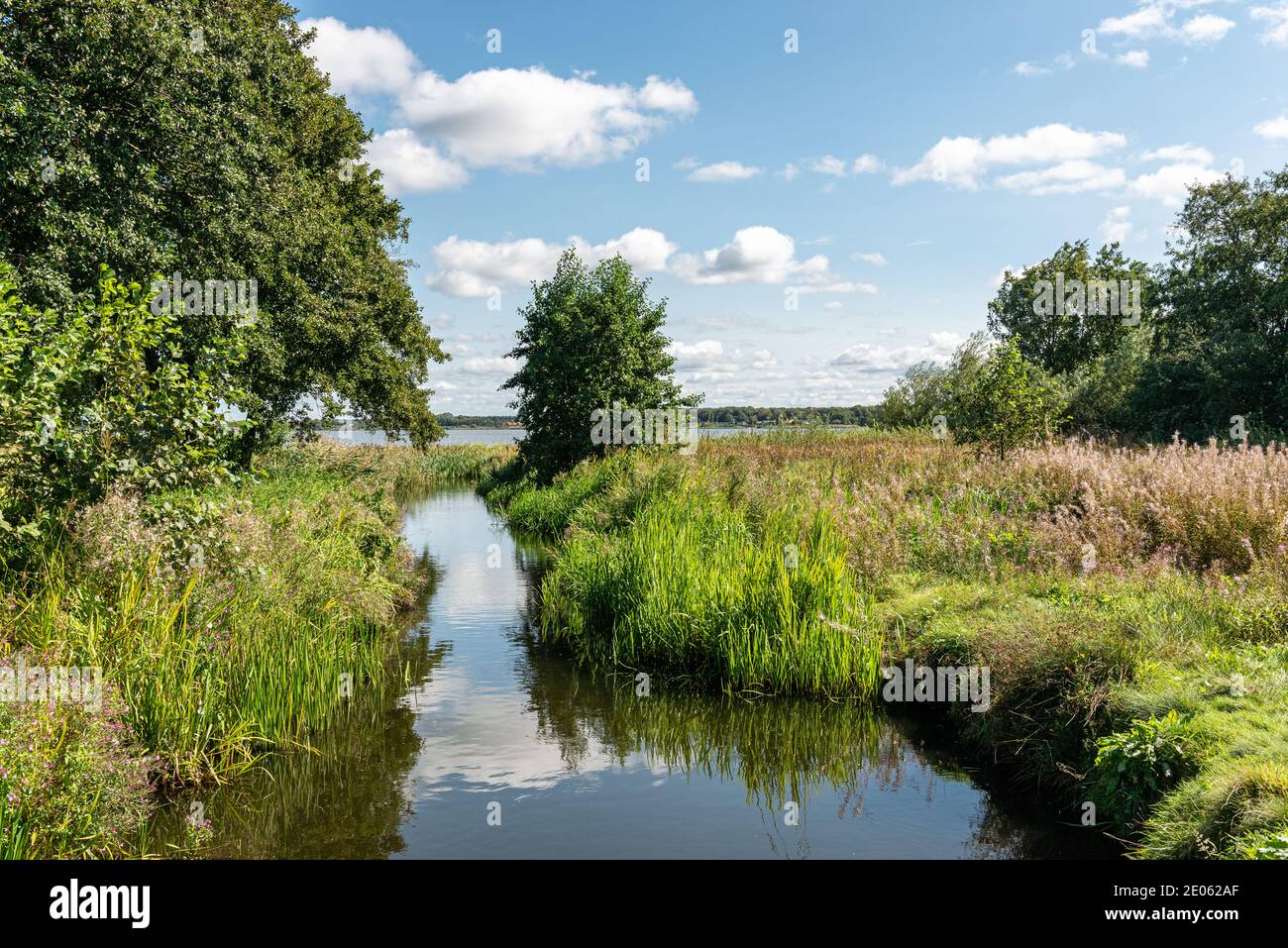 Growing denmark hi-res stock photography and images - Alamy