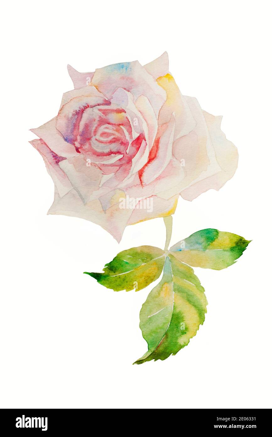 Watercolor painting leaves flower Cut Out Stock Images & Pictures - Alamy