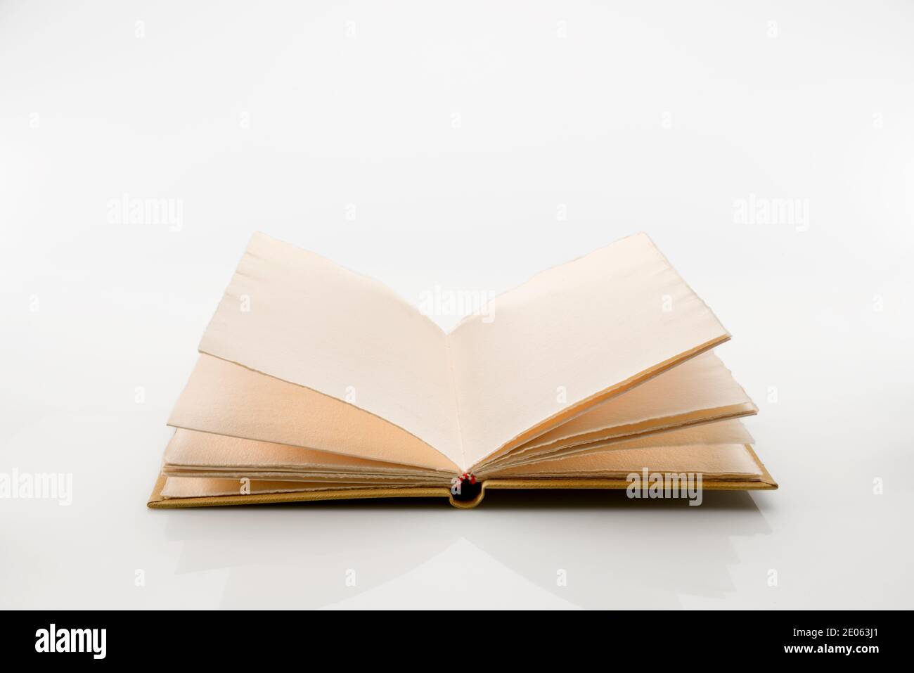 Antique diary title page hi-res stock photography and images - Alamy
