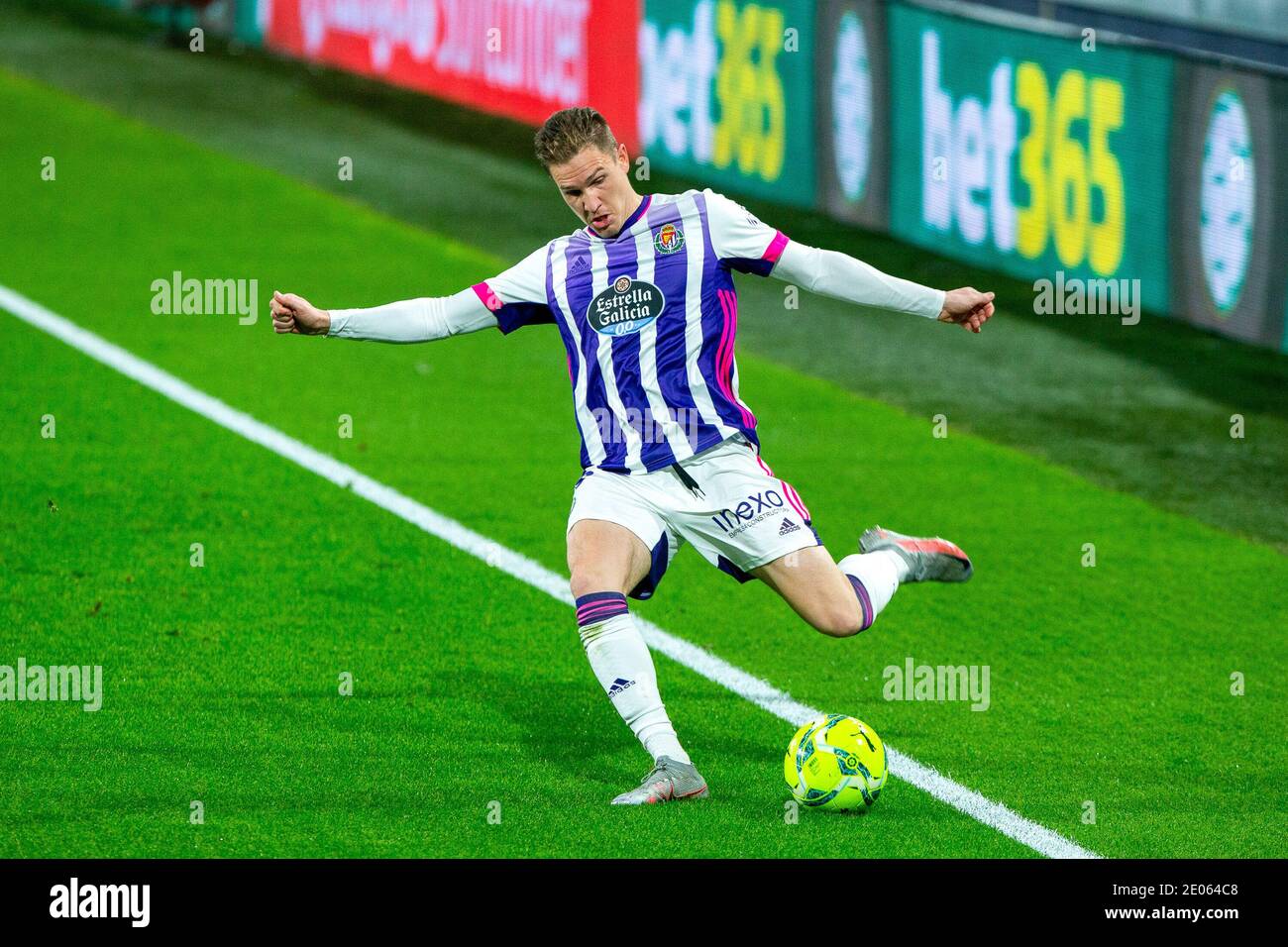 Carnero hi-res stock photography and images - Alamy