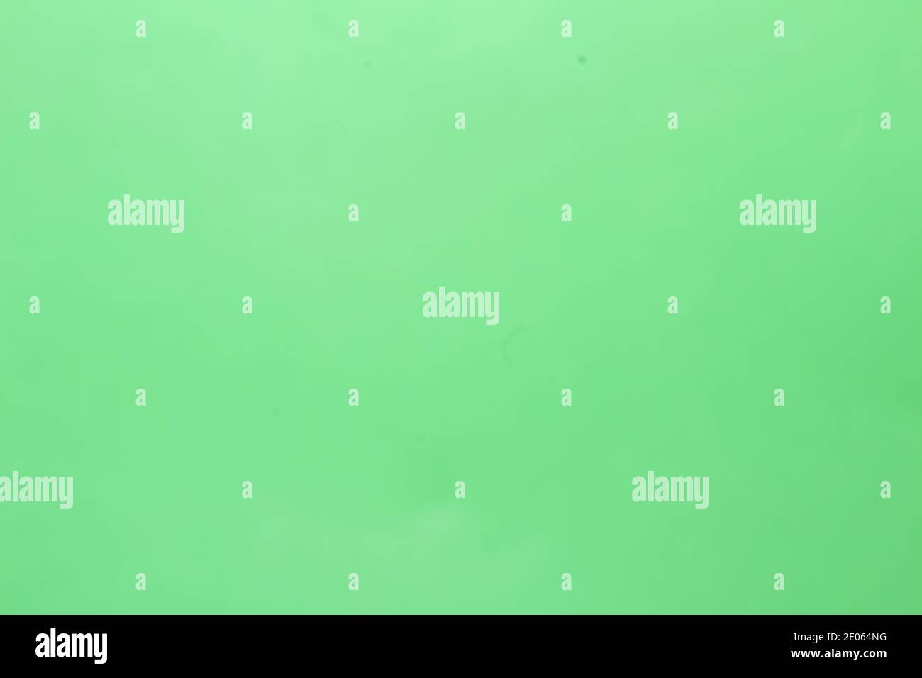 Plain Lime Green Backgrounds