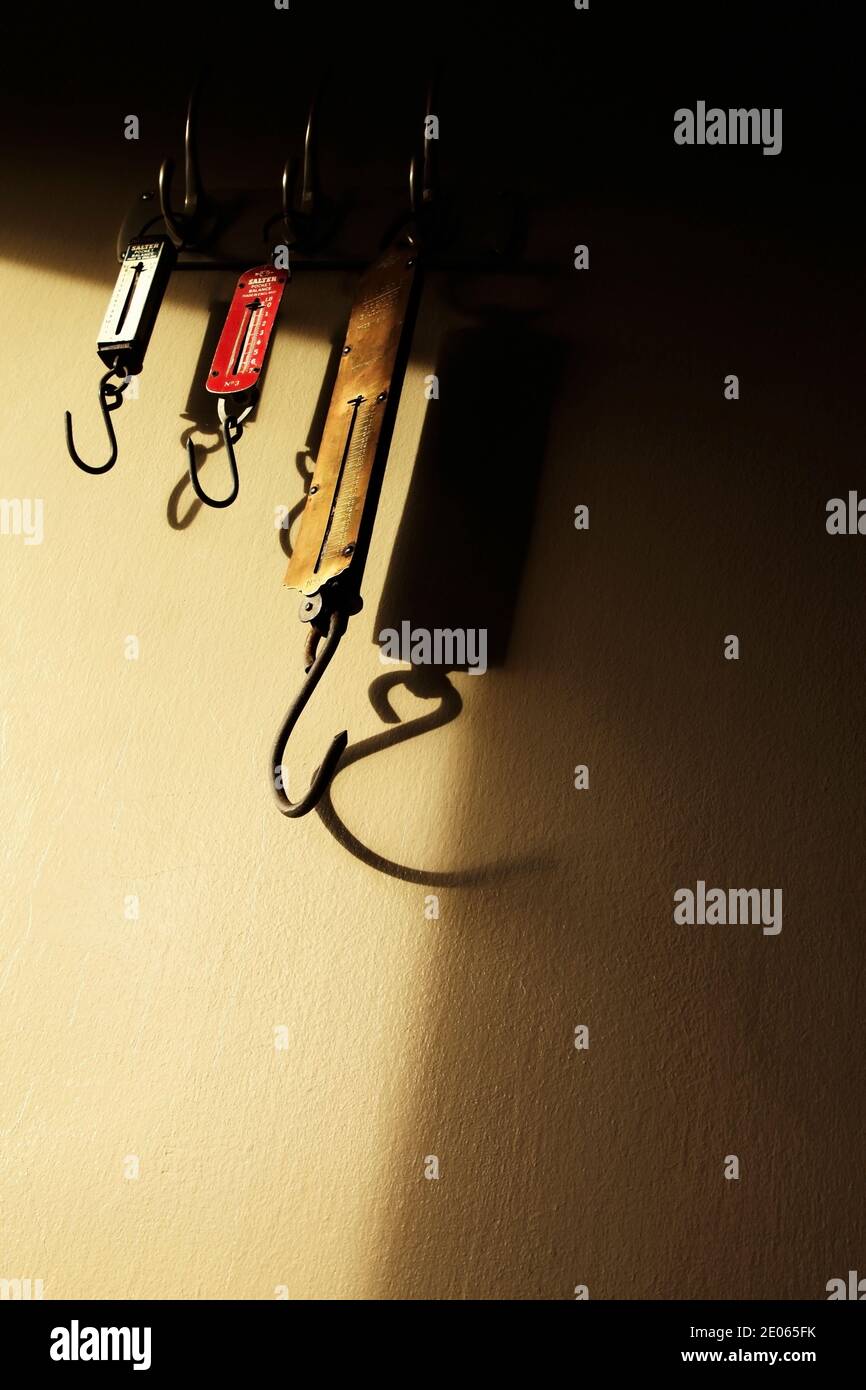 Three spring balances for measuring weights of items hung from the ...