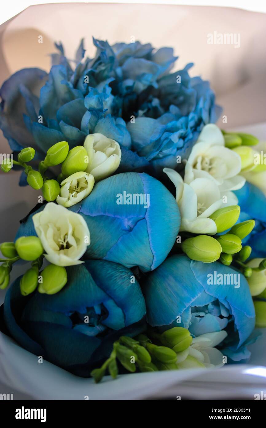 Wedding bouquet of blue peonies and white freesias in white kraft paper ...