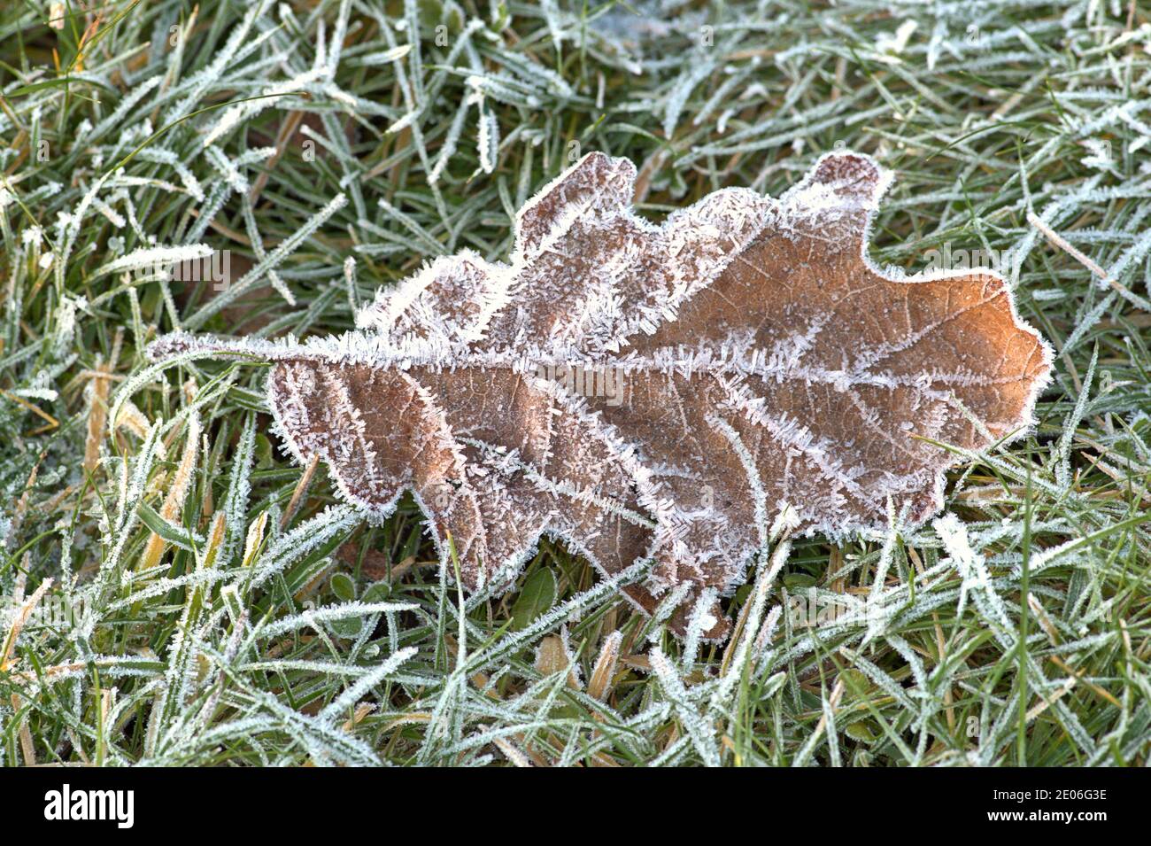 Frosty pitch hi-res stock photography and images - Alamy