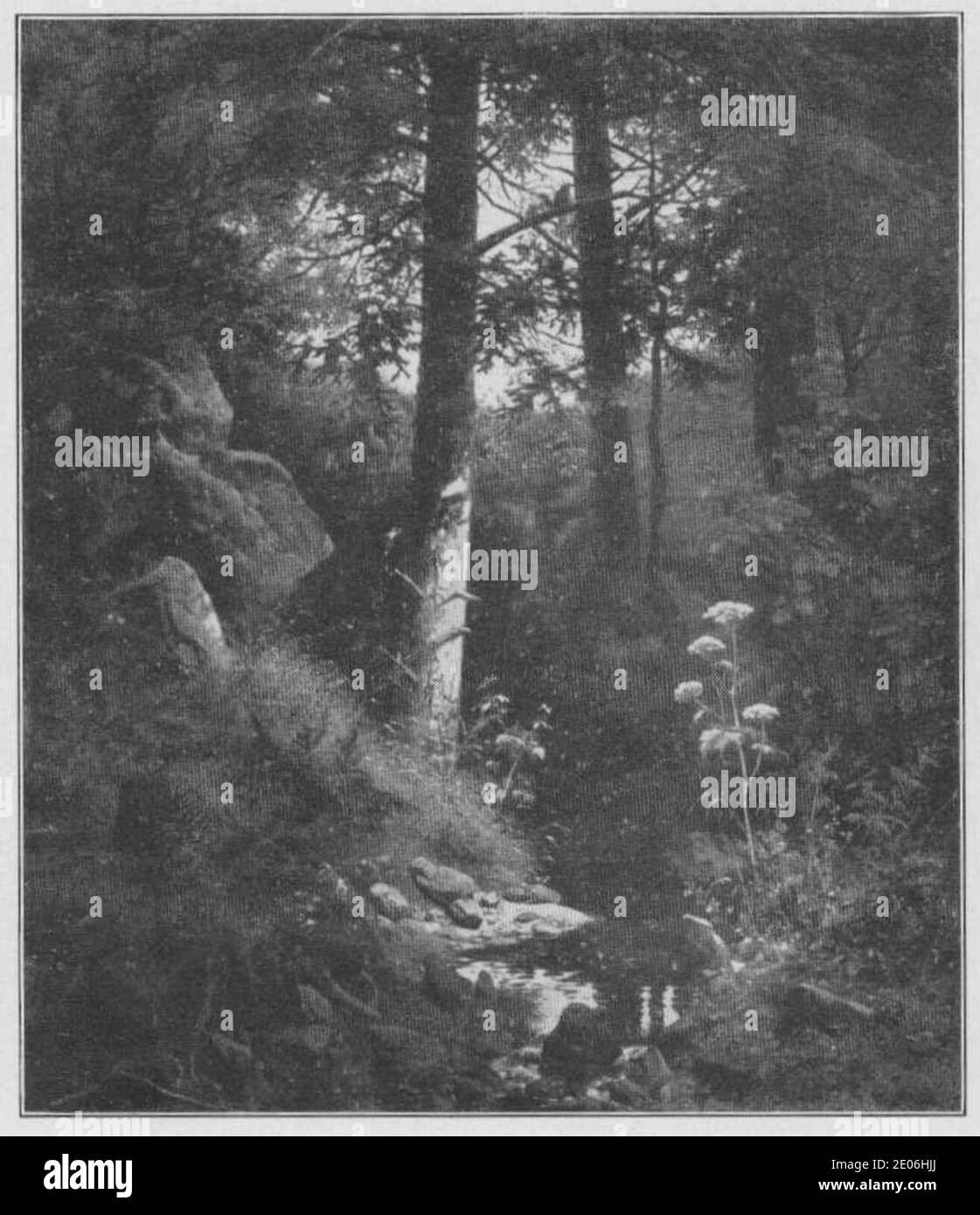 1037 Black and White Stock Photos & Images - Alamy