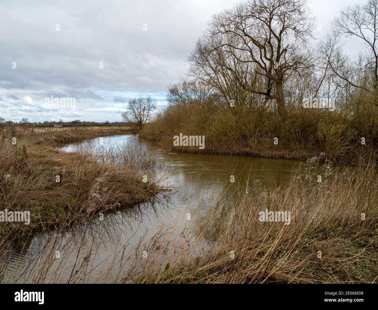 Wheldrake hi-res stock photography and images - Alamy