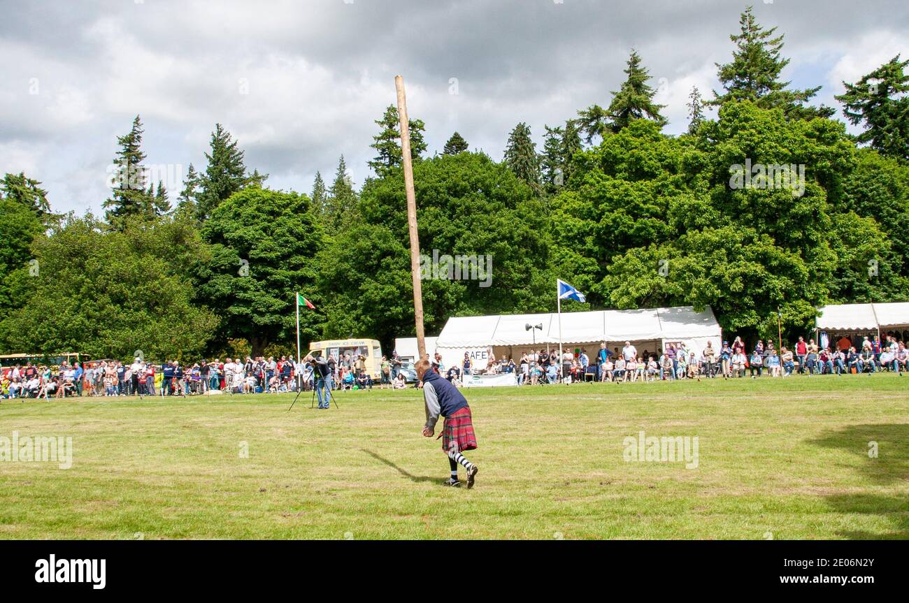 A competitor competing in the Tossing of the Caber contest during the ...