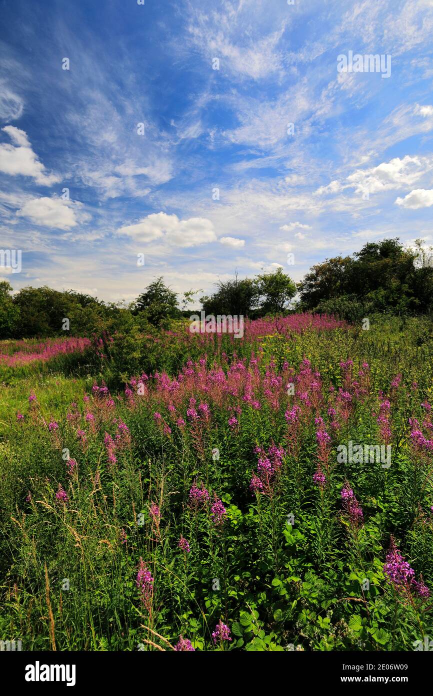 Hills and hollows cambridgeshire hi-res stock photography and images ...