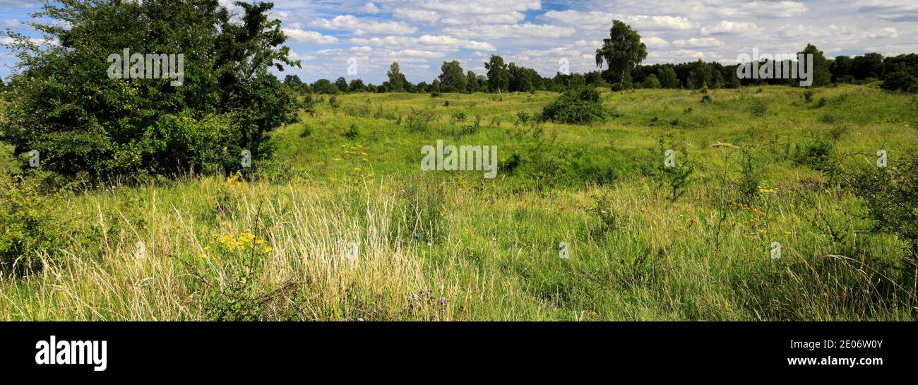 Hills and hollows cambridgeshire hi-res stock photography and images ...