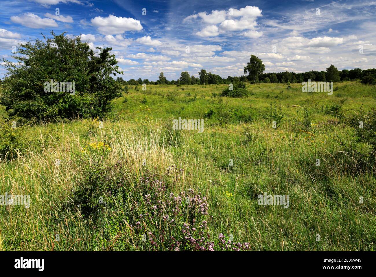 Conservation Review Sites High Resolution Stock Photography and Images ...