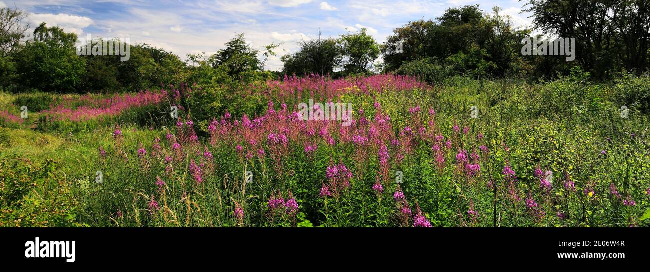 Hills and hollows cambridgeshire hi-res stock photography and images ...