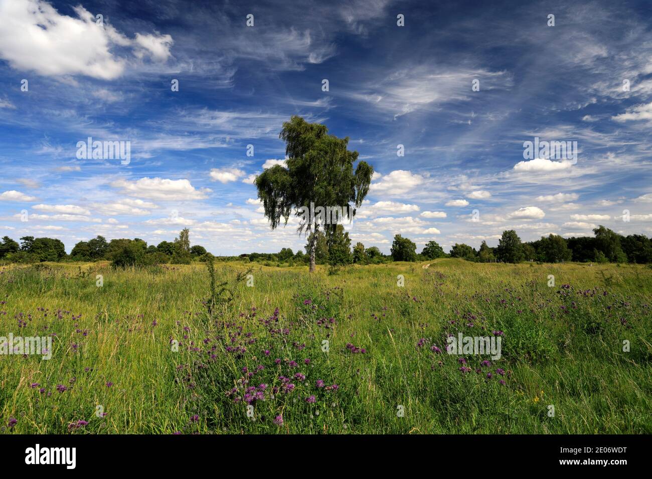 Hills and hollows cambridgeshire hi-res stock photography and images ...