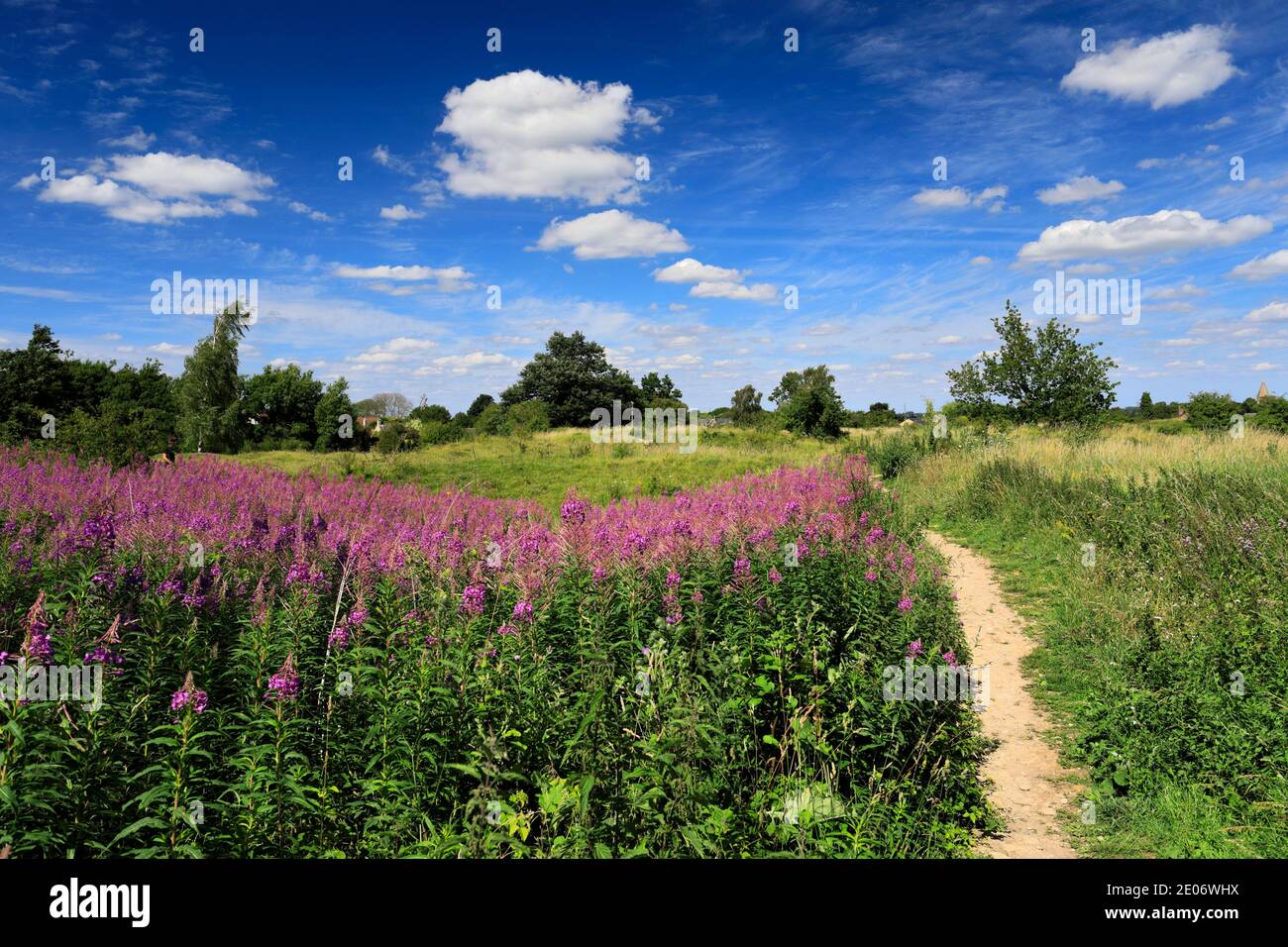 Hills and hollows cambridgeshire hi-res stock photography and images ...