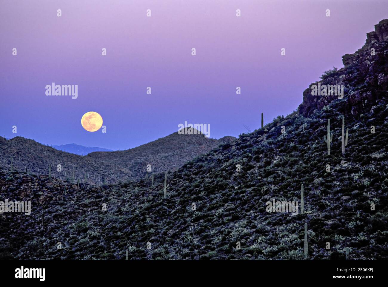 Full moon over arizona desert hi-res stock photography and images - Alamy