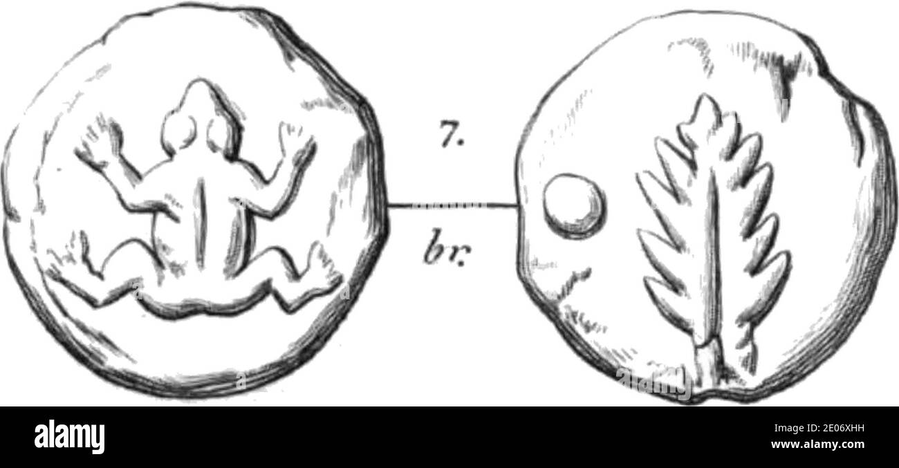 Luceria hi-res stock photography and images - Alamy