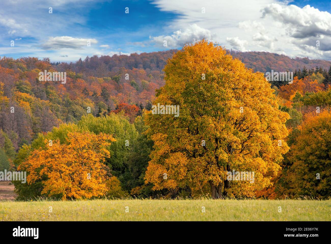 Goldener oktober deutschland hi-res stock photography and images - Alamy