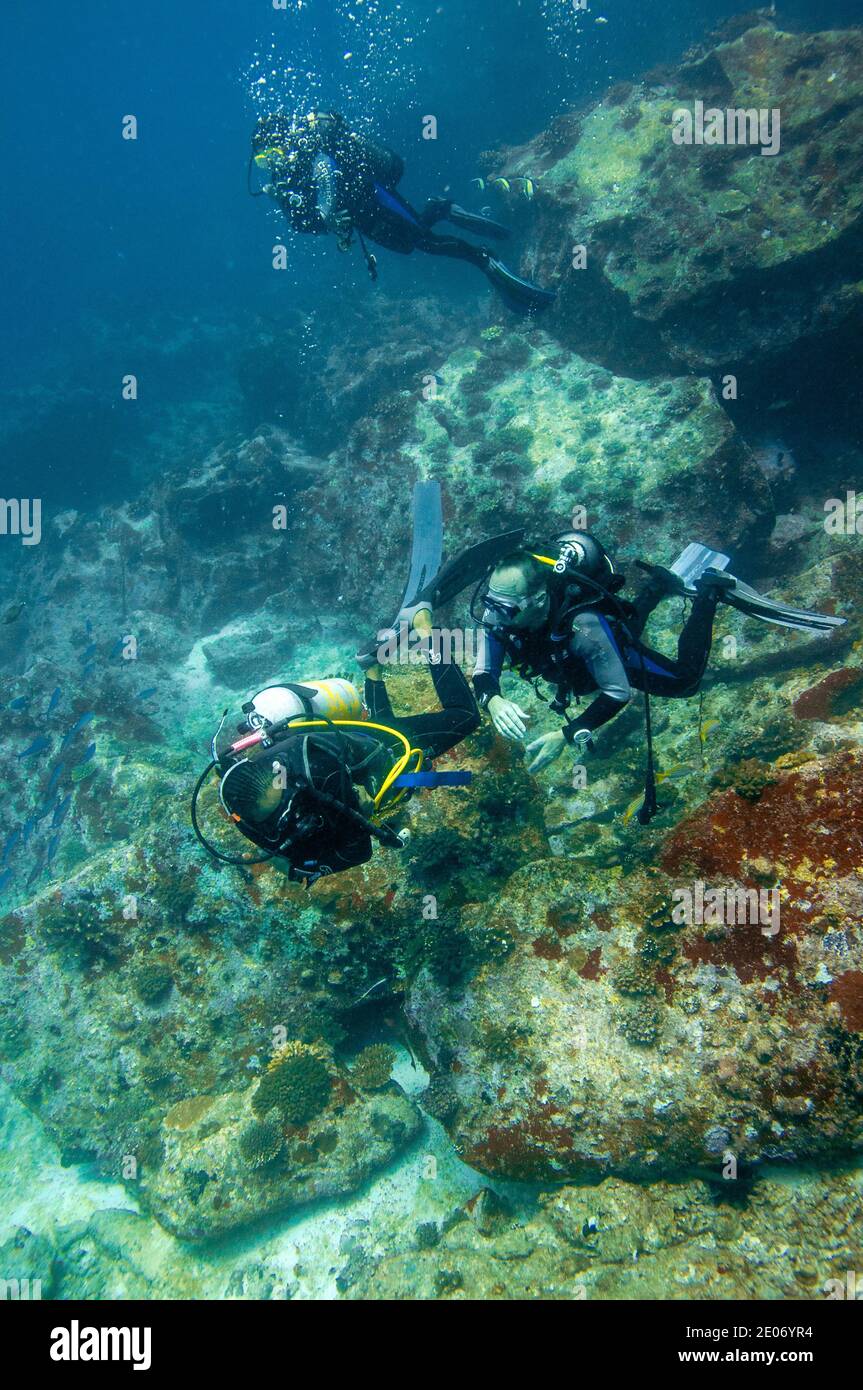 Group of divers over the ocean floor reef boulders Stock Photo - Alamy