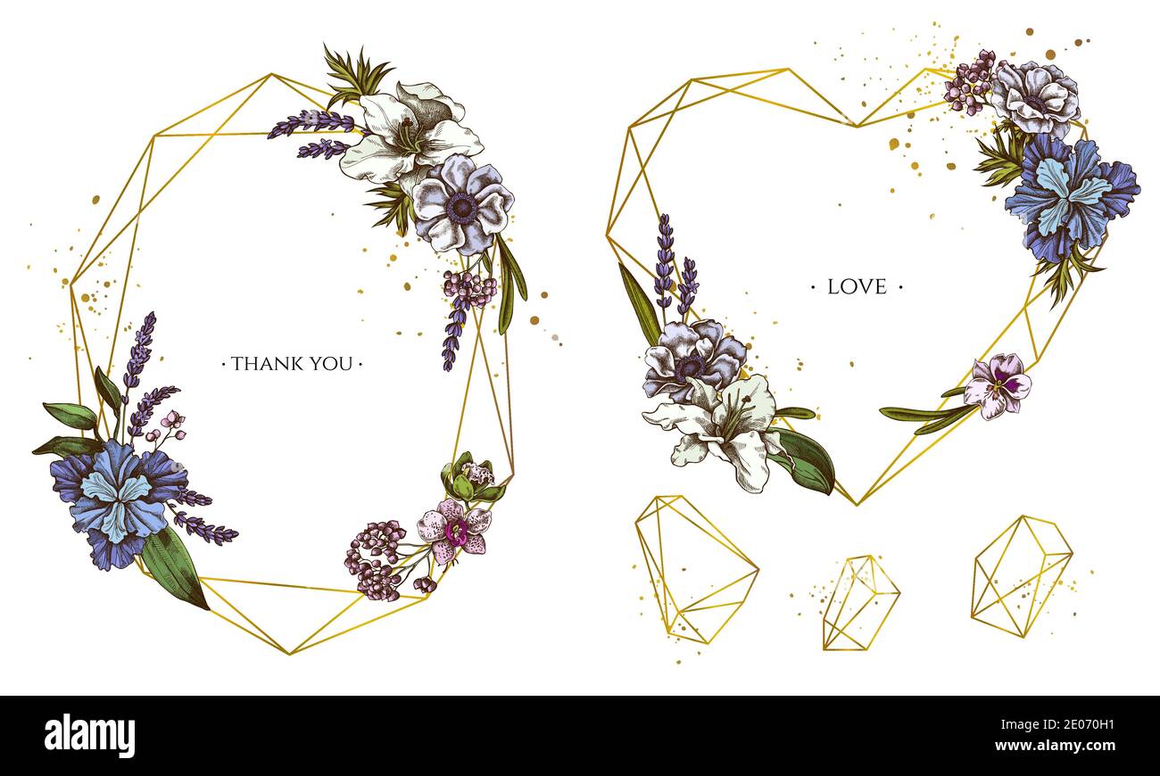 Golden everlasting flower Stock Vector Images - Alamy